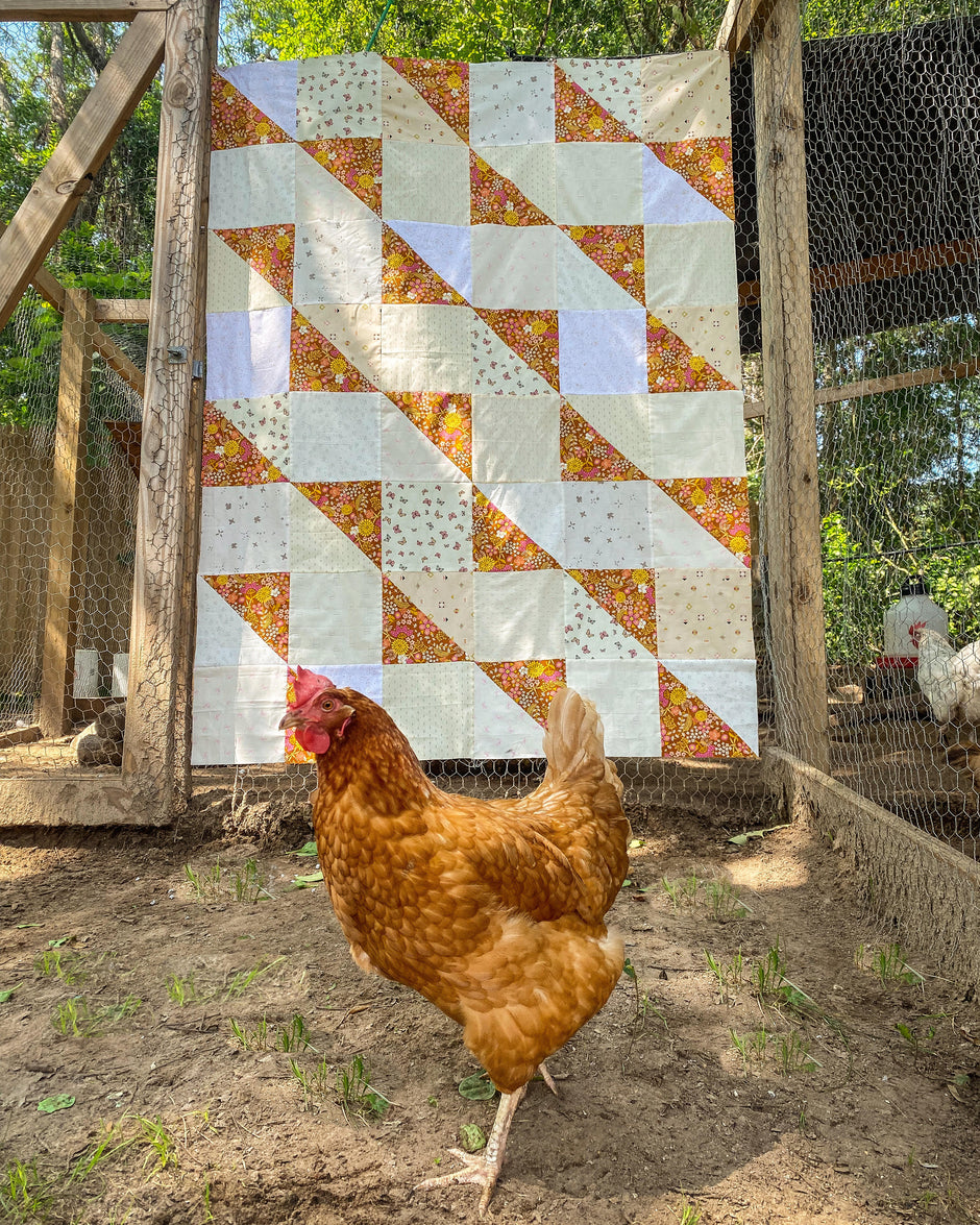 Classes – Running Doe Quilts